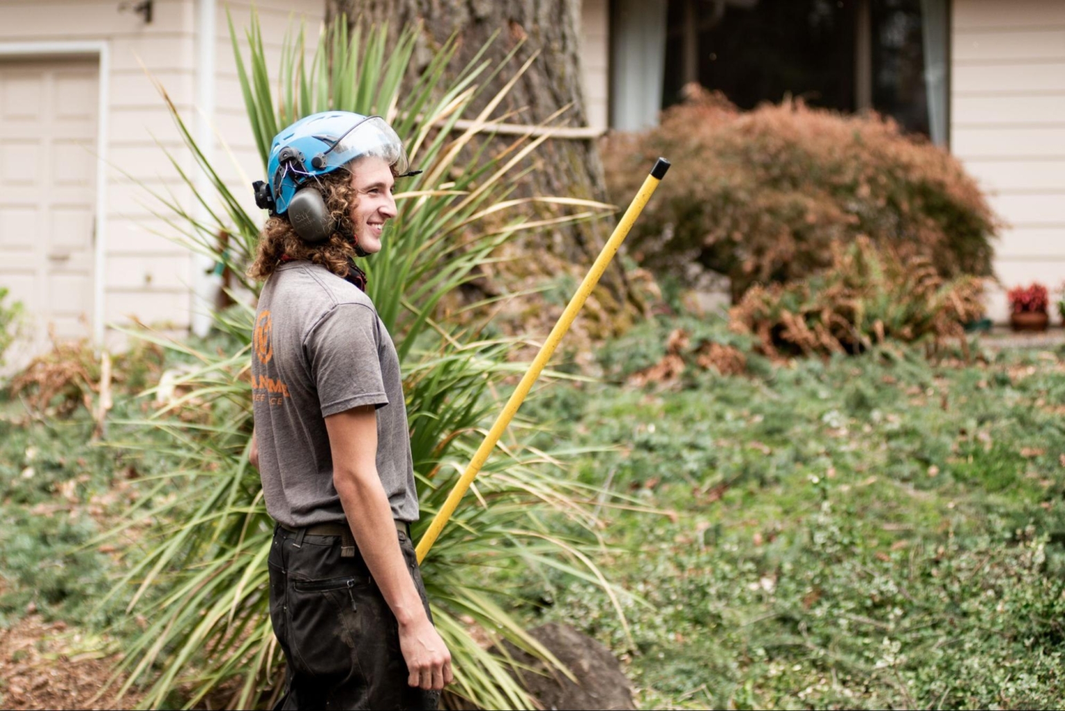 Tree Service Portland Oregon by Urban Timber | Tree Service Near Me For ...